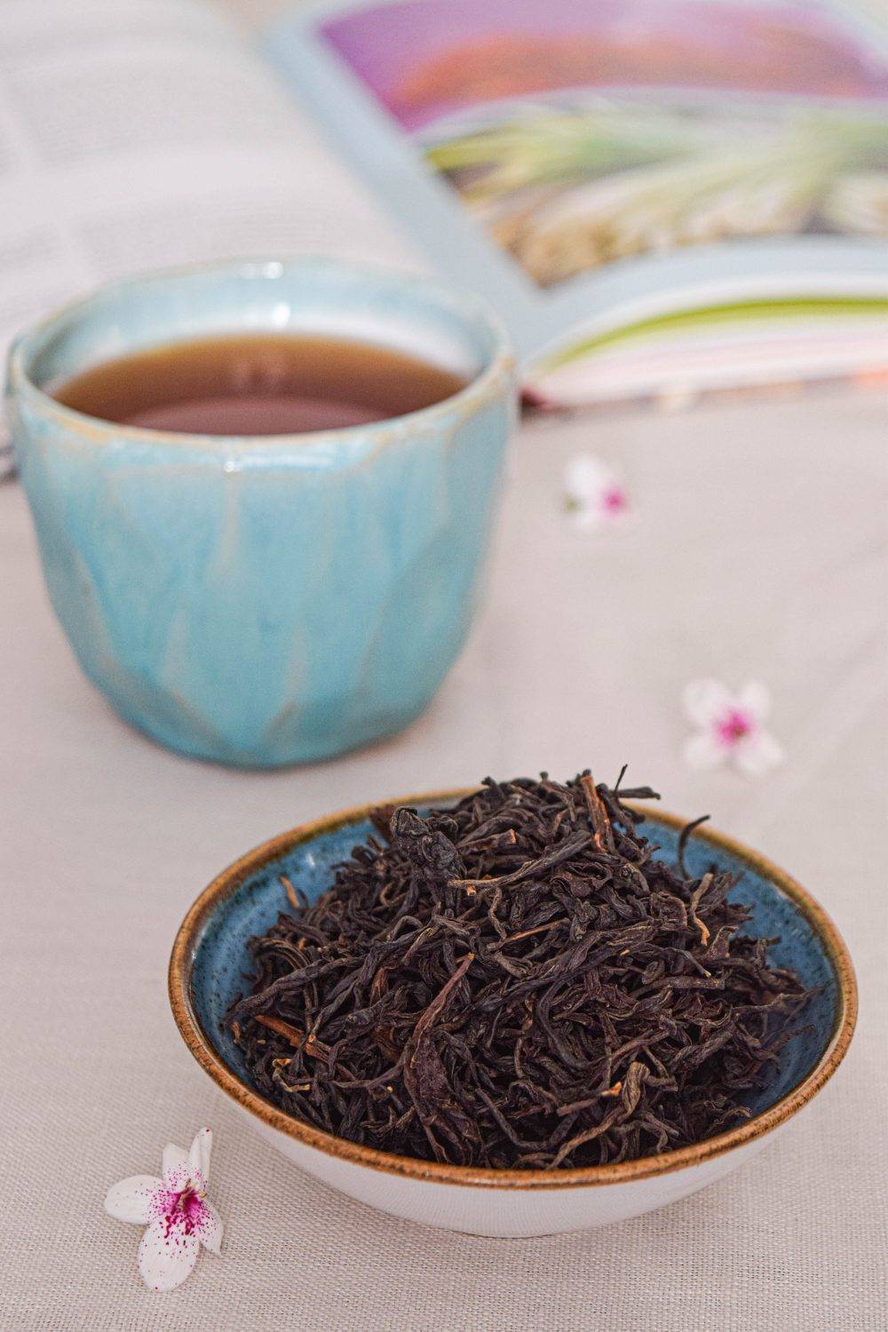 Introducción al té: Camellia sinensis - Spicarium